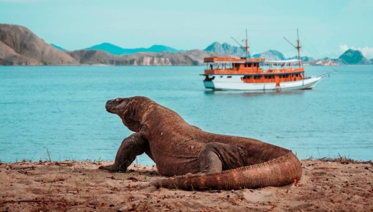 Conheça as 7 Maravilhas Naturais do Mundo